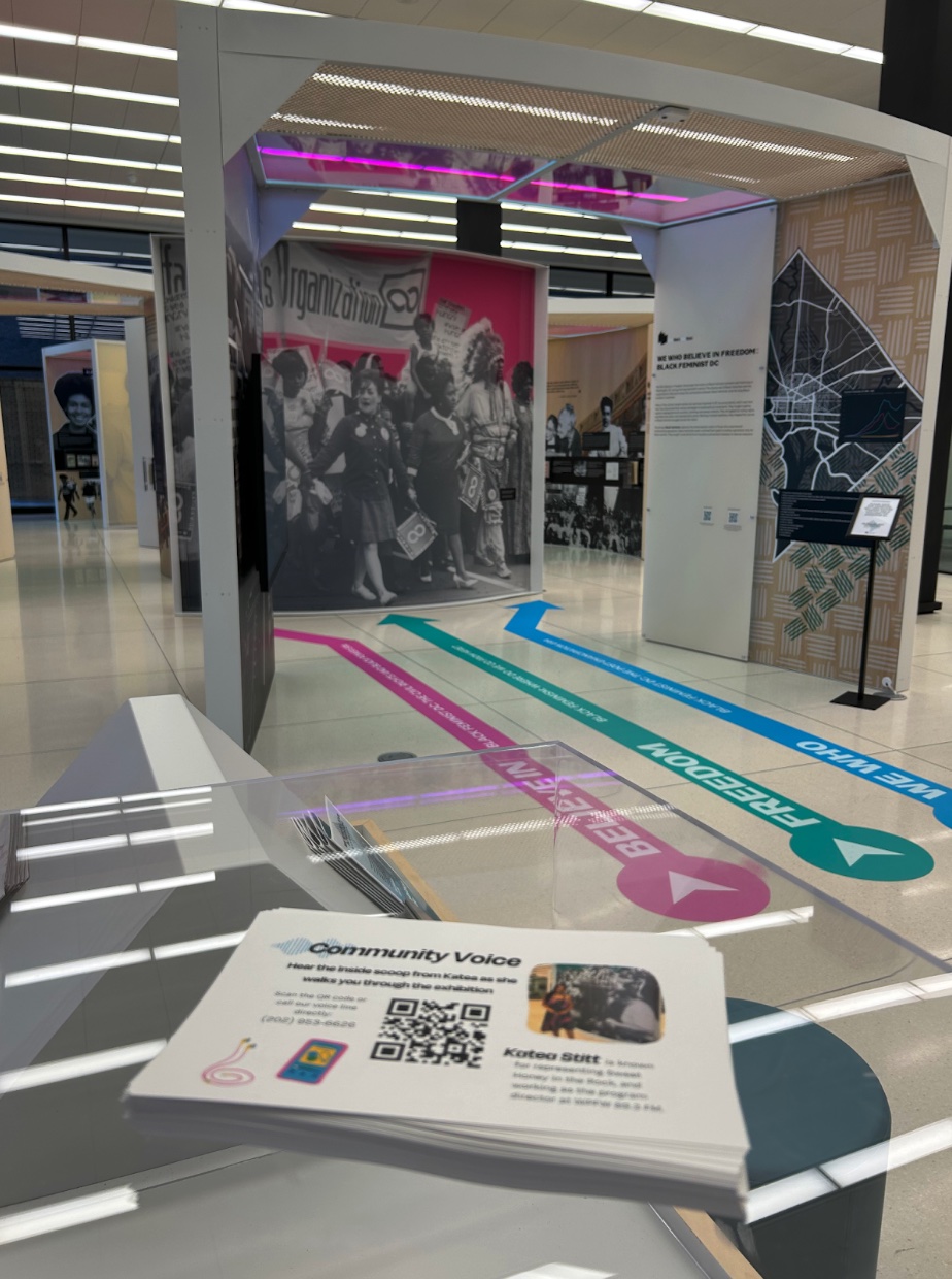 Audio experience: “Insider Voice-Over” (a case study with the Black ...